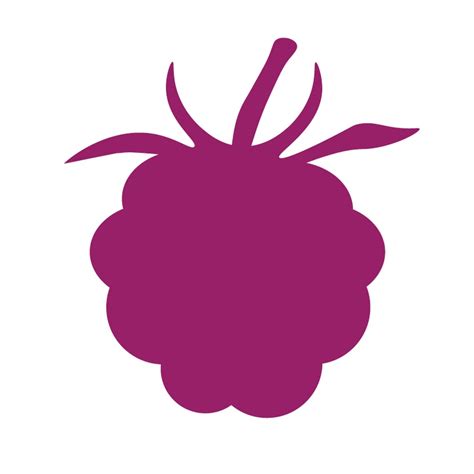 The Wild Raspberry Youtube
