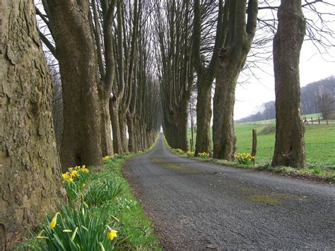 Allee Foto & Bild | landschaft, wege und pfade, natur Bilder auf ...