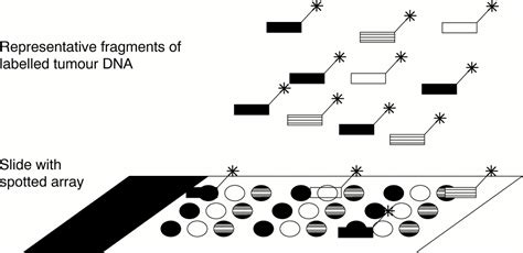 Microarray Techniques In Pathology Tool Or Toy Molecular Pathology