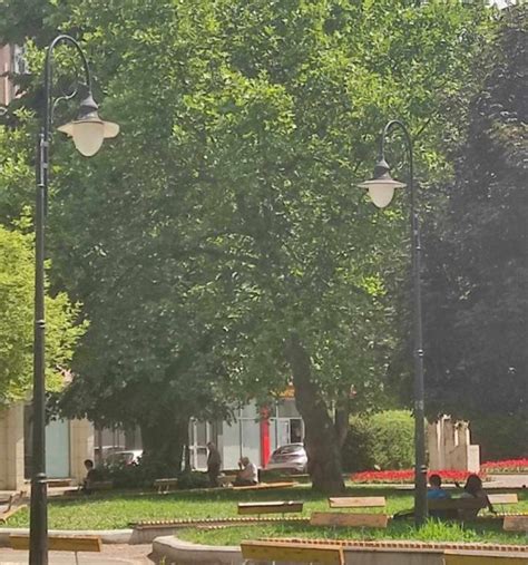 Подменят парковото осветление на пешеходната ул Радецка в Габрово