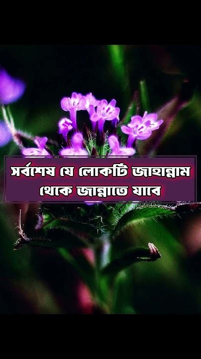 সর্বশেষ যে লোকটি জাহান্নাম থেকে জান্নাতে যাবেislamicvideo New Islam