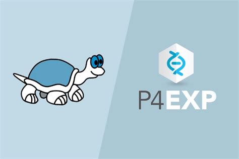 龟兔赛跑：如何使用tortoisesvn客户端和p4exp 知乎