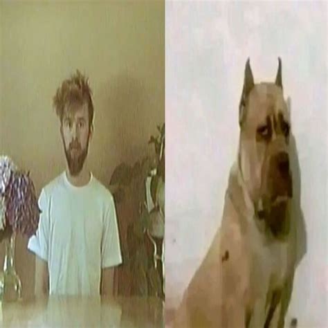 Jack Calzoski En 2025 Arte De La Cubierta Videos De Terror Cortos Imágenes Divertidas