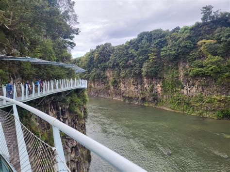 [철산2동상가번영회] 광명시 골목상권 공동체 지원사업 선진지 견학 사진자료실 광명시자영업지원센터