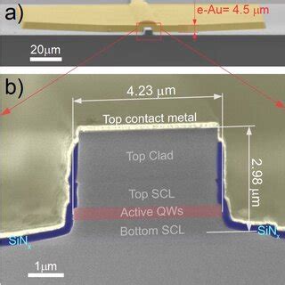 Cross Sectional End View Image At Two Scales Of A Processed Narrow