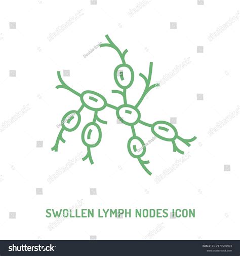 부풀어 오른 림프절 아이콘 편도선 인두염이 스톡 벡터로열티 프리 2179599993 Shutterstock