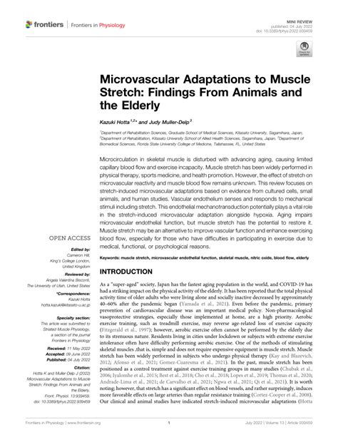 Pdf Microvascular Adaptations To Muscle Stretch Findings From