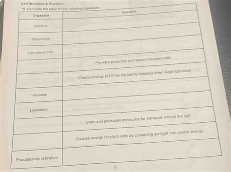 Solved Cell Structure Function He Following Organelles 5 Biology