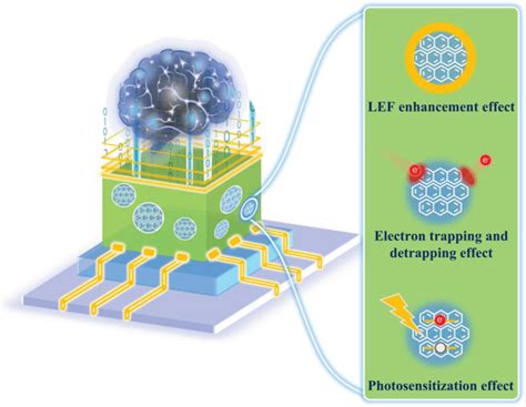 The Main Modulation Effects Of Cds On Memristance Including Lef Download Scientific Diagram