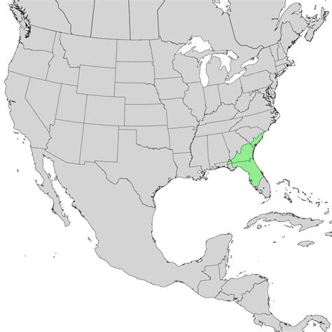 Free Images Viburnum Obovatum Range Map 0