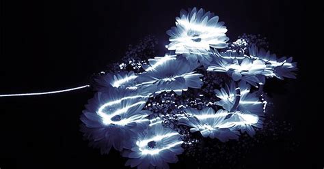 Some Laser Pointer Photography For Ya Album On Imgur