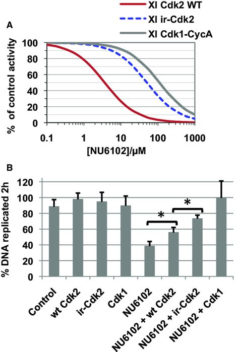 Rescue Of Dna Replication In Cdk2 Inhibited Interphase Xenopus Egg Download Scientific Diagram