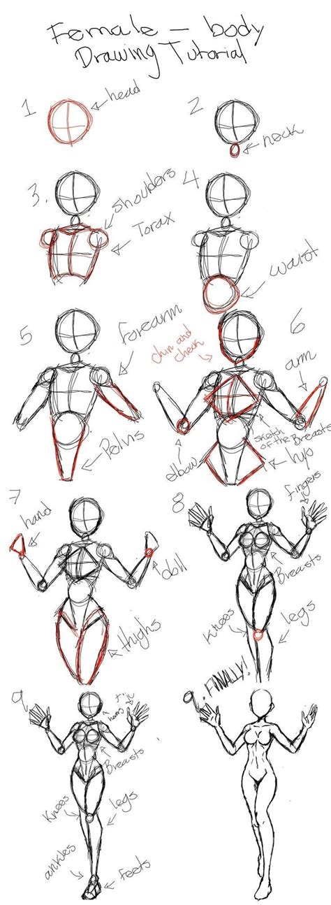 Pose Reference How To Draw Body Aprende A Dibujar Cuerpos Humanos Paso A Paso Tutorial De