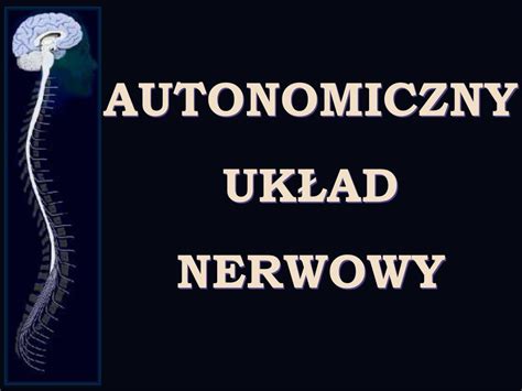 PPT AUTONOMICZNY UKŁAD NERWOWY PowerPoint Presentation free download