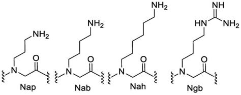 Review Structure Activity Relationship Of Antimicrobial Peptoids
