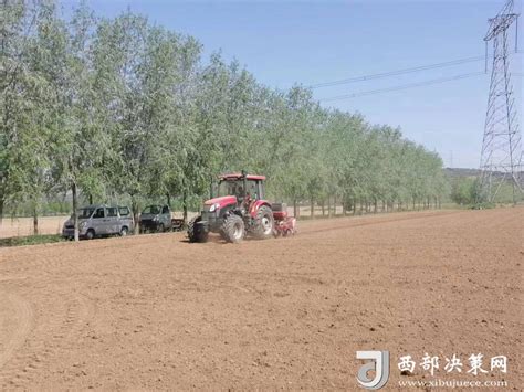 宝鸡市凤翔区柳林镇：开展高粱种植技术培训 助推高粱产业高质量发展西部决策网国家一类新闻网站