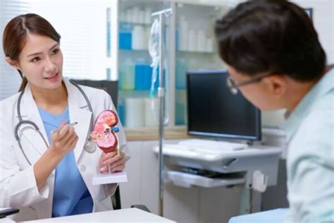 Understanding The Basics Of Urology And Its Importance