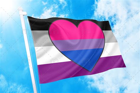 Asexual Biromantic Pride Flag Pride Nation