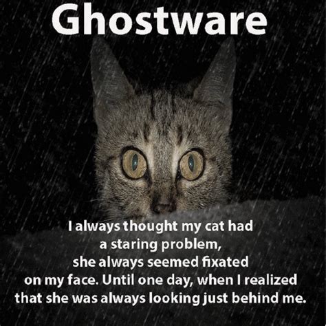 My Ghost Story S Find And Share On Giphy
