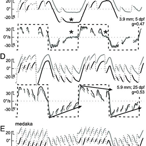 Optokinetic Velocity Steps Optokinetic Reflex Okr Performance In Download Scientific Diagram