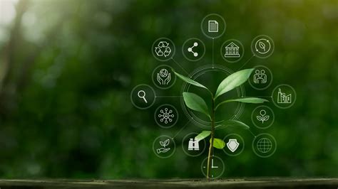 Schools Roadmap To Decarbonisation Acivico