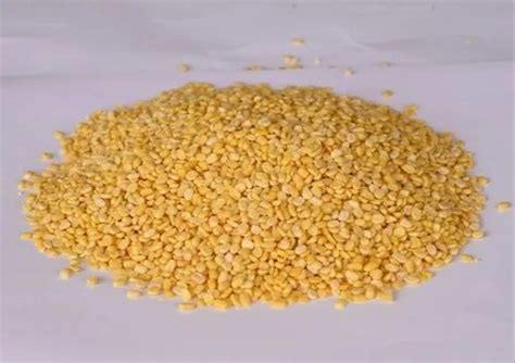 Yellow Bold Moong Mogar Dal High In Protein At ₹ 92kg In Jodhpur Id