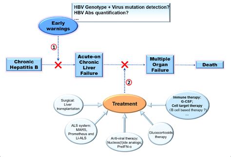 Therapy Strategies In Chb Aclf Different Approaches To Prevent