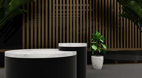 기하학적 형태의 추상적 최소 장면입니다 화장품 연단 무대 받침대 또는 플랫폼을 표시합니다 잎 그림자와 3d 나무 연단 디스플레이 0명에 대한 스톡 사진 및 기타 이미지