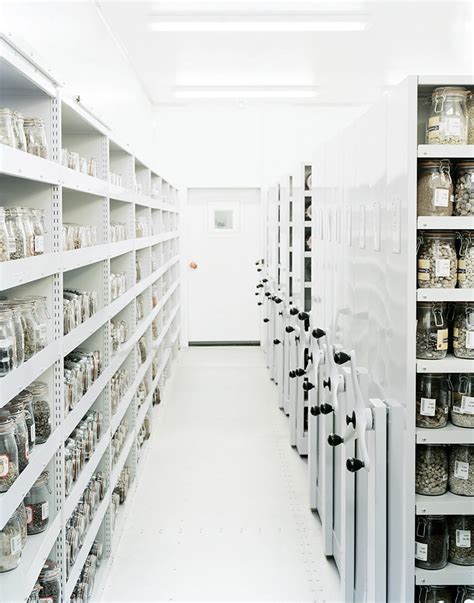 Archiving Eden The Vaults By Dornith Doherty