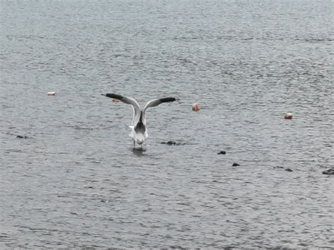 Escoteirosda Buraca Added A New Photo Escoteirosda Buraca