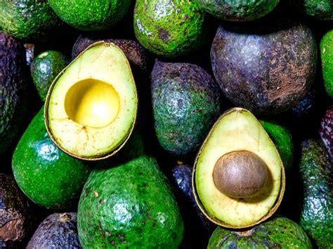 Types Of Avocado Trees