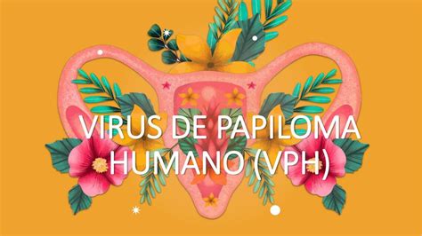 Virus Del Papiloma Humano VPH META UDocz