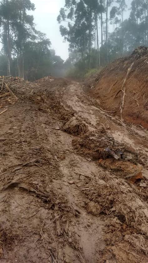 Obras Em Estradas Rurais Melhoram Acesso De FamÍlias Na Zona Rural Do