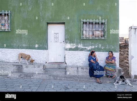 Mujeres Y Perros Hi Res Stock Photography And Images Alamy