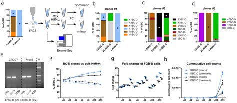 Real Time Characterization Of Clonal Fate Decisions In Complex Leukemia Samples By Fluorescent