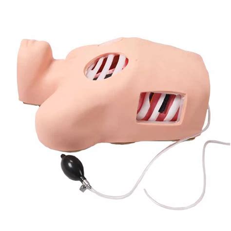 Pleural Drainage Simulator Advanced Medical Training