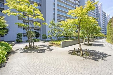 【三井のリハウス】西新井センターの店舗情報