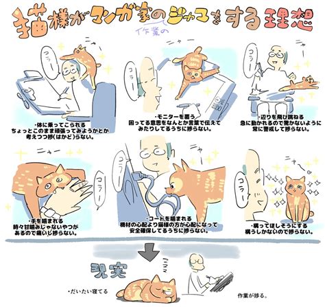 「猫様がマンガ家の作業のジャマをする理想と現実 猫を飼ってる漫画家は いつも猫に作業を邪魔されるというそれはそれは尊い展」音井れこ丸エロコメ