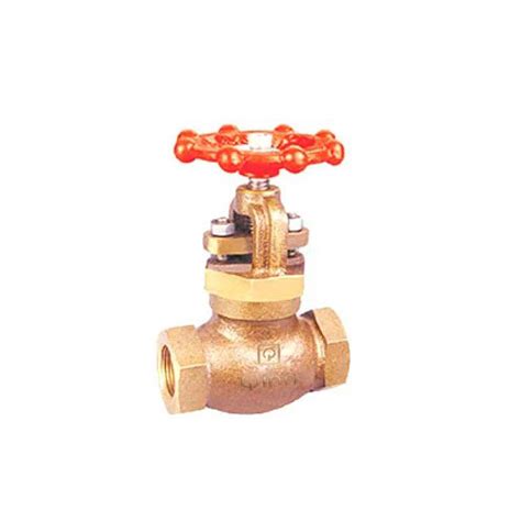 Bronze Controllable Feed Check Valve At Best Price In Mumbai Neel