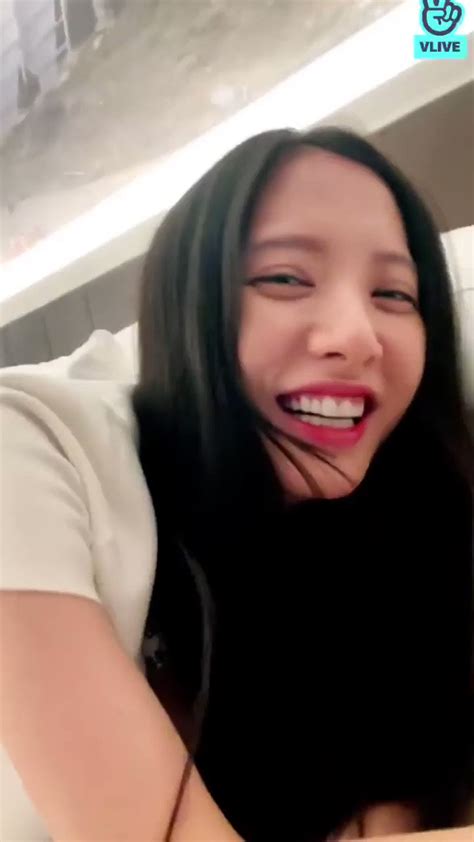 On Twitter Wjsn Bona Individual Gifs Collection Here Https T Co Lka Nmdag Https