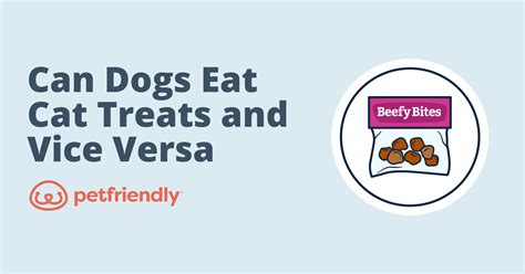 Can Dogs Eat Cat Treats And Vice Versa