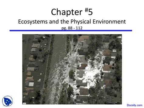 Ecosystems And The Physical Environment Environmental Science