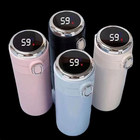 Temperature Flask Bottle 750 Ml At Rs 400piece In New Delhi Id
