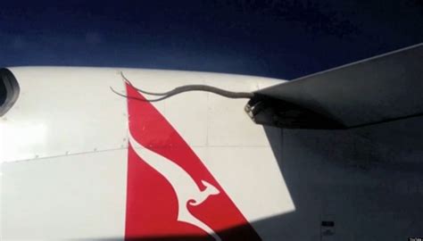 Snakes On A Plane Scrub Python Gets Stuck On Wing Of On Qantas Flight