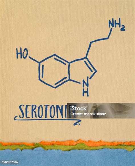 세로토닌 분자 화학 구조 뇌 행복 화학 물질 중 하나 아트지 건강 화학 및 생리학 개념에 대한 대략적인 스케치 개념에 대한 스톡 사진 및 기타 이미지 Istock
