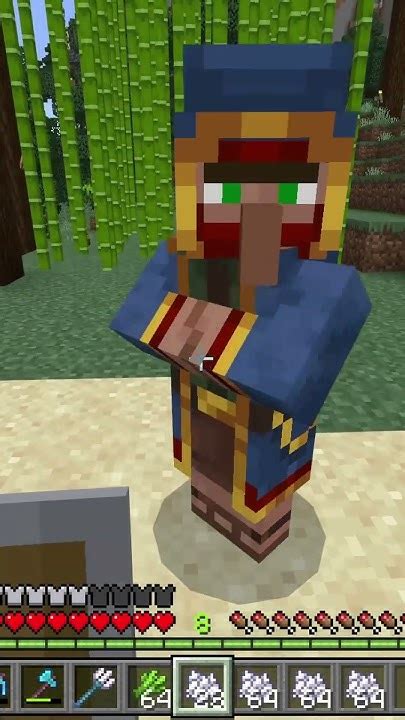 The Only Useful Wandering Trader Minecraft Wanderingtrader Gaming