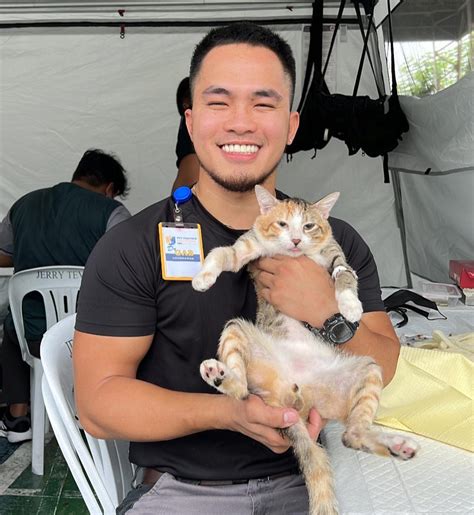 Vet Spots Rare Male Calico Cat PTV News