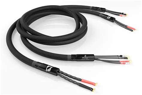 Dùng Dây Tín Hiệu Làm Dây Loa Có được Không