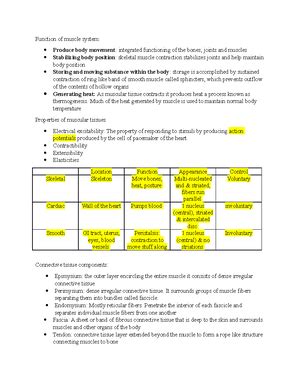 Solved Determine The Cardiac Output Of An Athlete With A Resting Heart Human Anatomy And