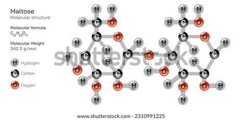 Maltose Molecular Structure Formula Periodic Table Stock Vector